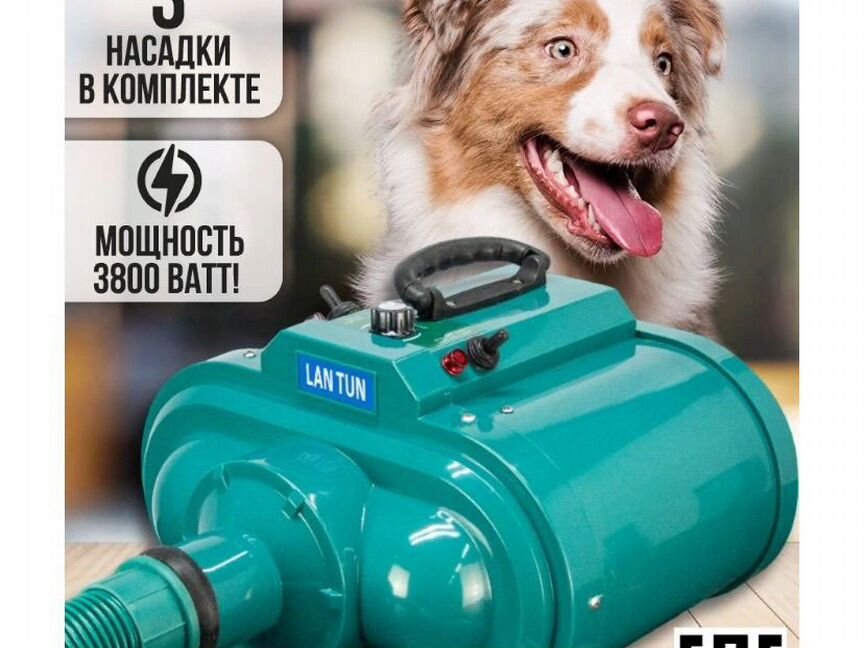 Фен компрессор для собак