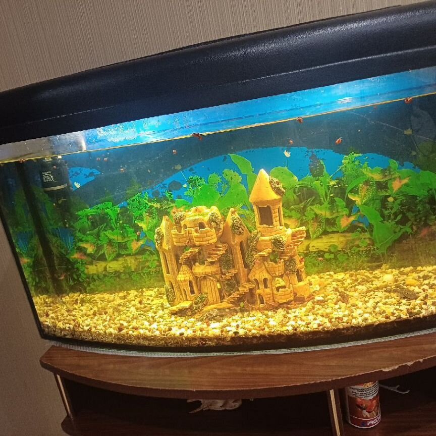 Аквариум 80 литров