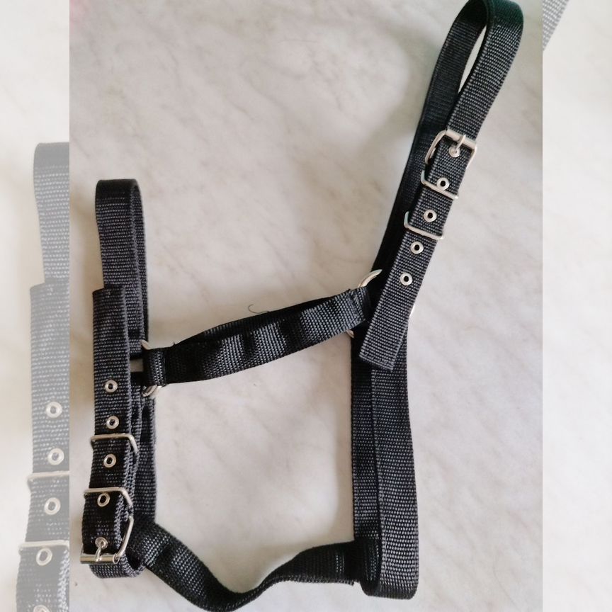 Недоуздок для лошади, чембур