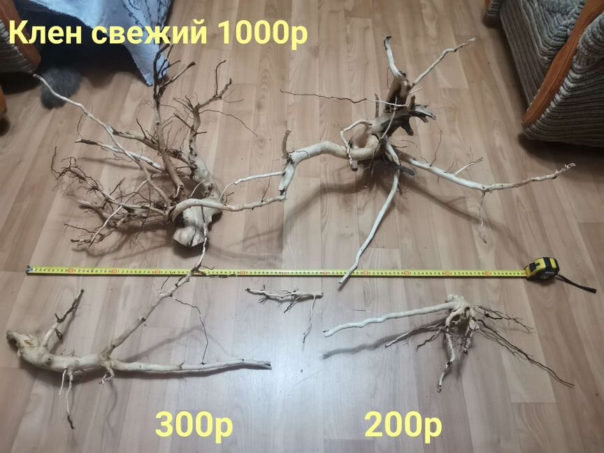Коряги