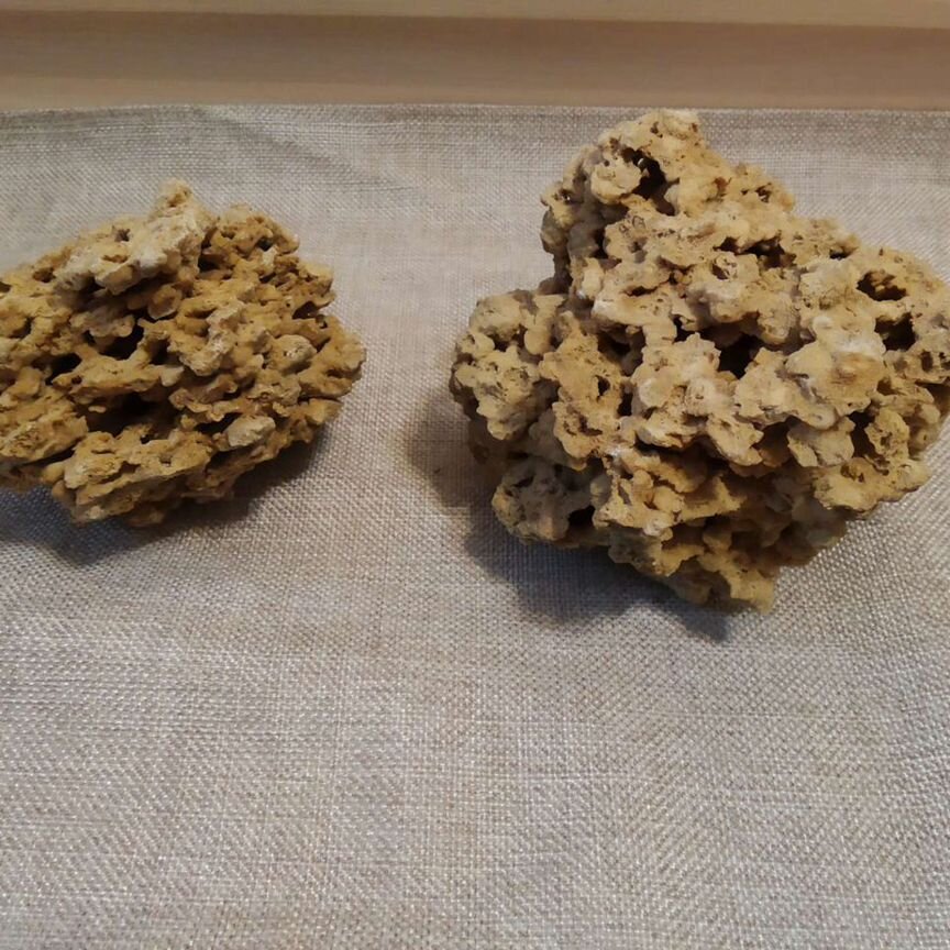 Камни коралловые для аквариума