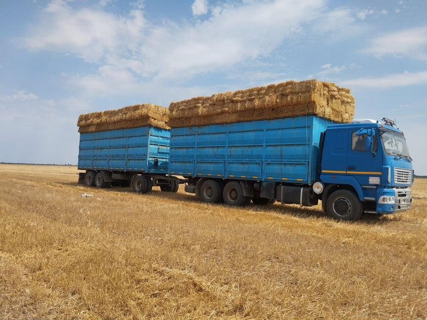 Солома в тюках