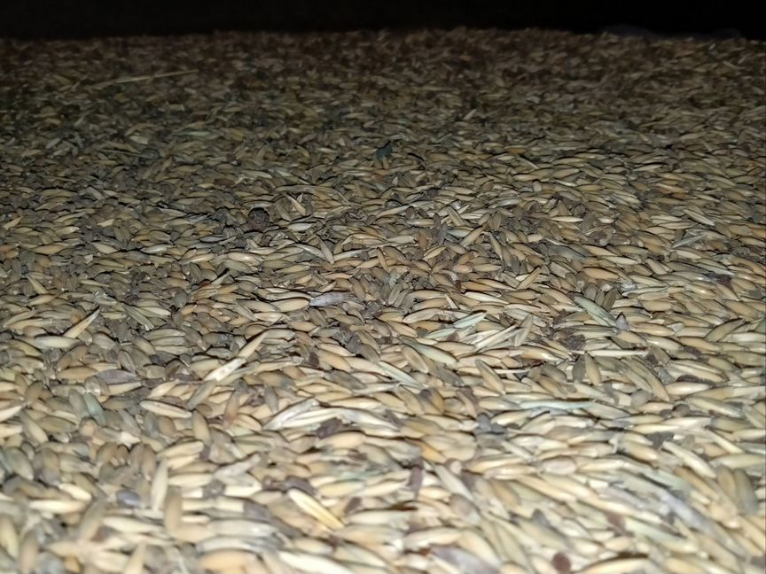 Зерновая смесь