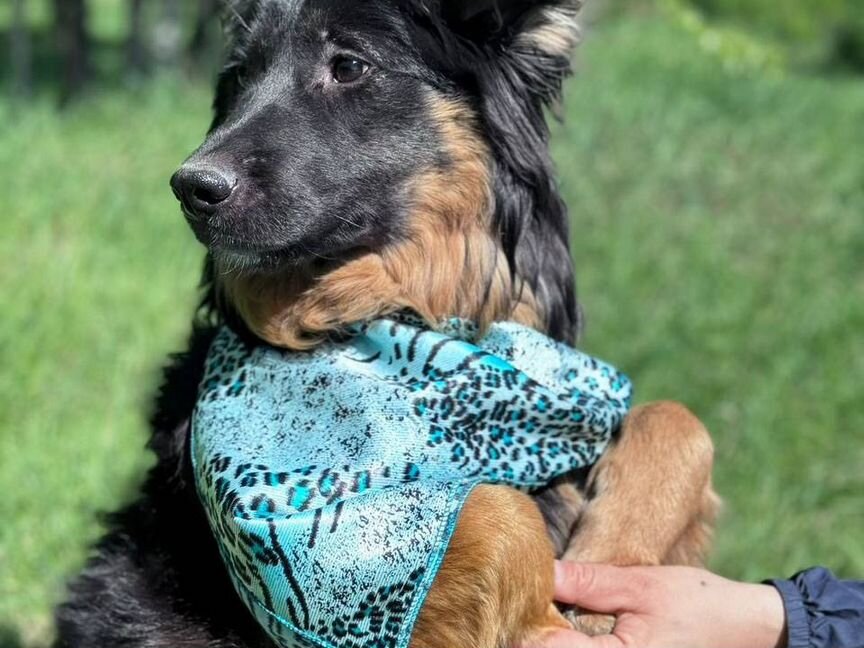Малышка в добрые руки