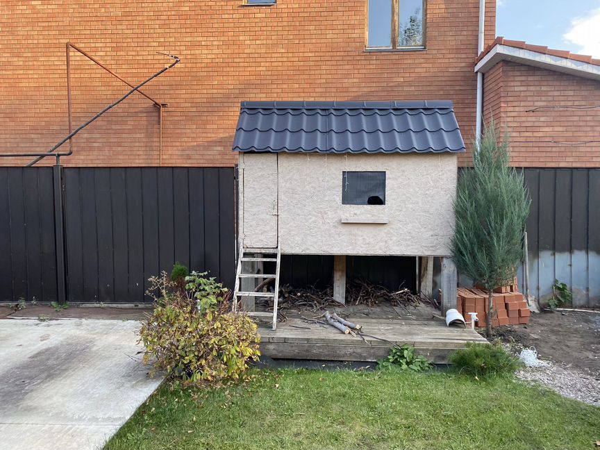 Голубятник, курятник