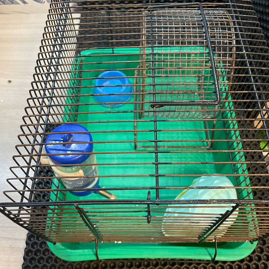 Клетка для грызунов