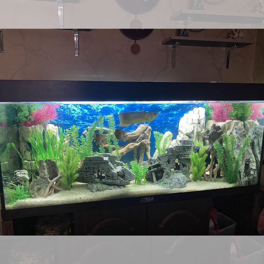 Аквариум с тумбой 500 литров