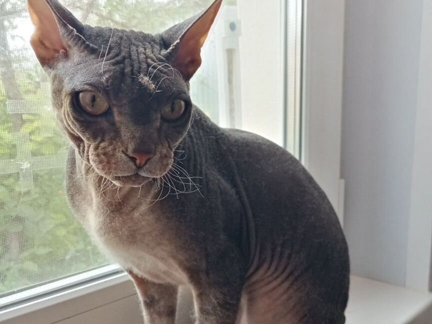 Неизвестно