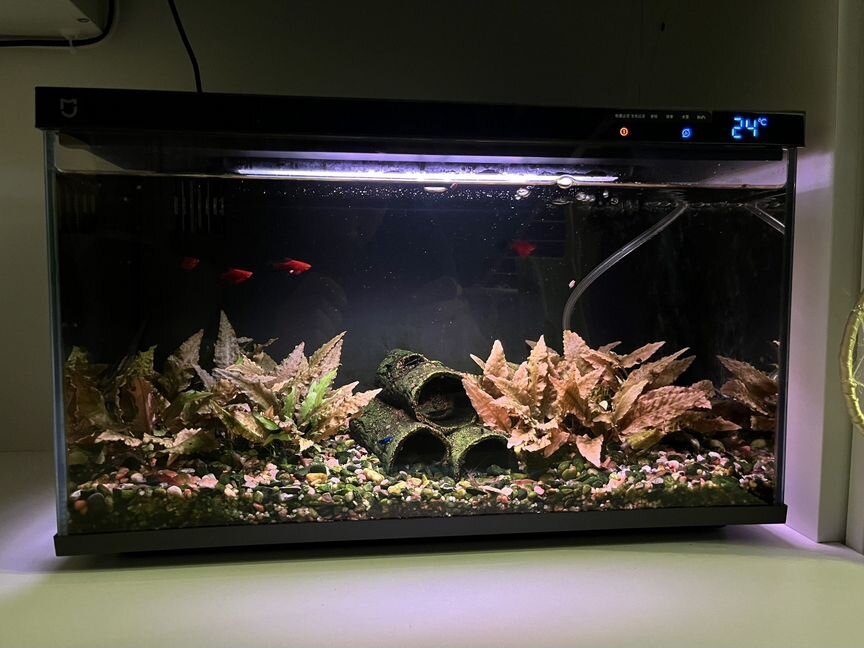 Умный аквариум Xiaomi Mijia SMART Fish Tank (20 л)