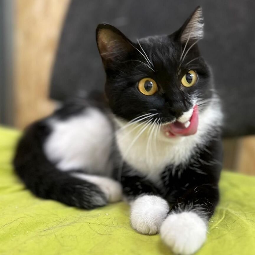 Прочитай, пожалуйста