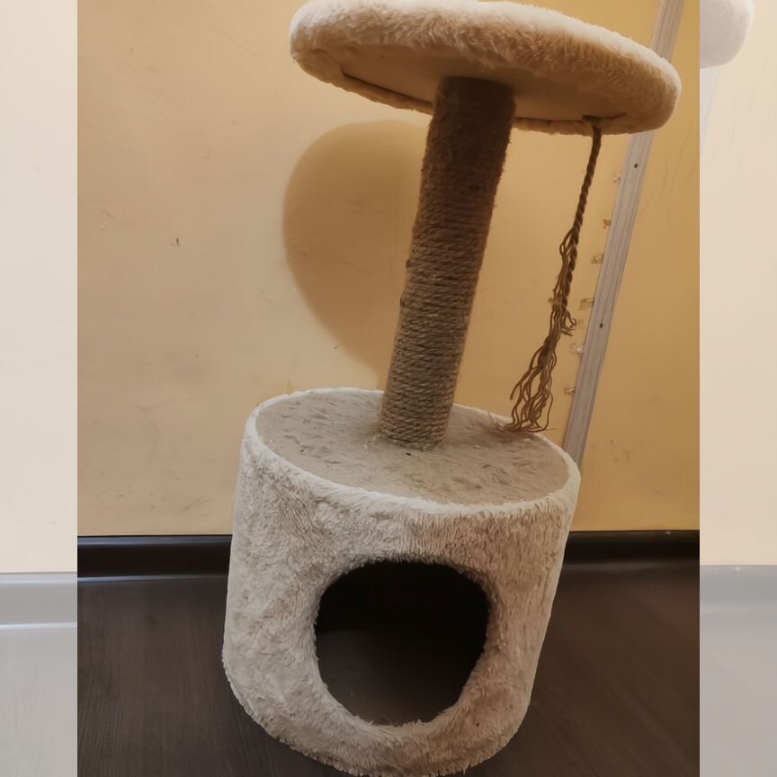 Когтеточка