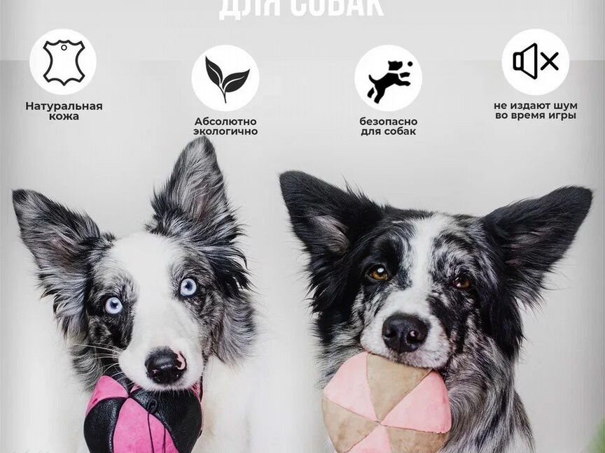 Игрушка для собак "мяч"