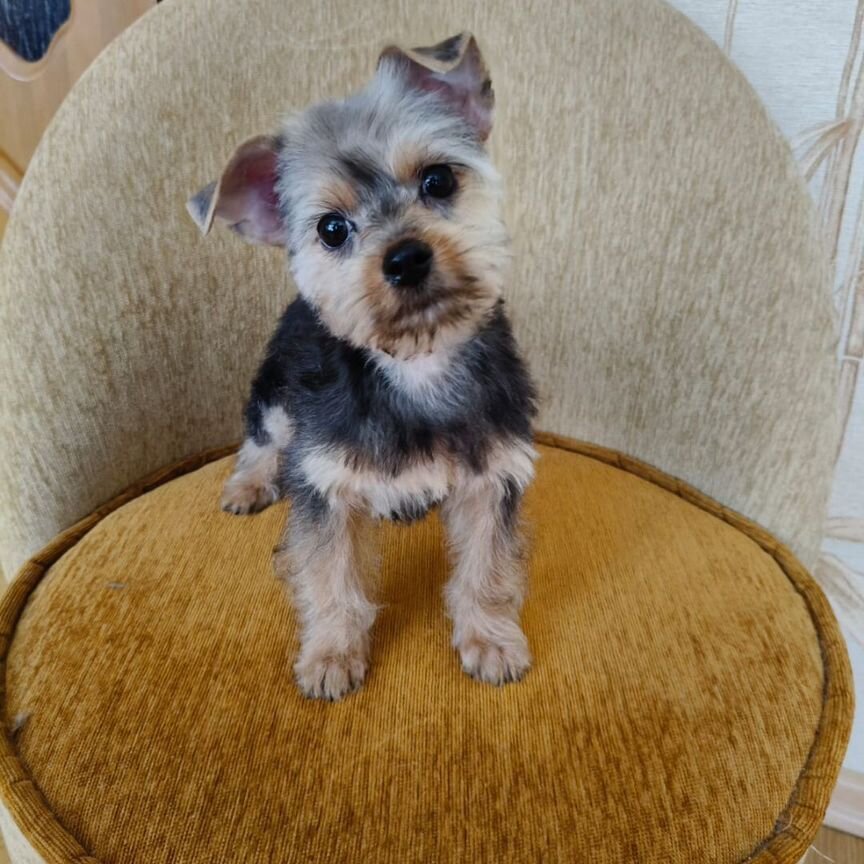 Мальчик полностью привит