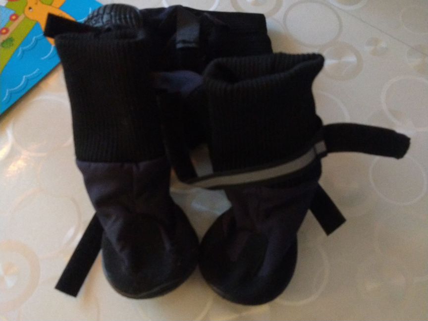 Собачьи сапожки новые