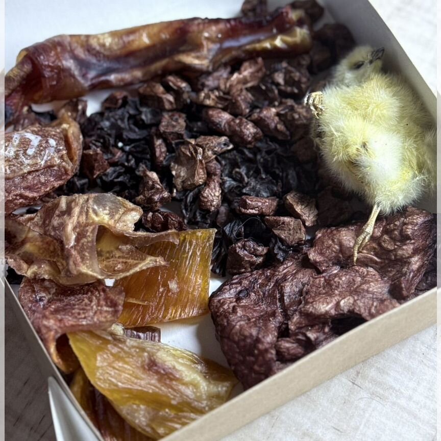 Лакомства для собак