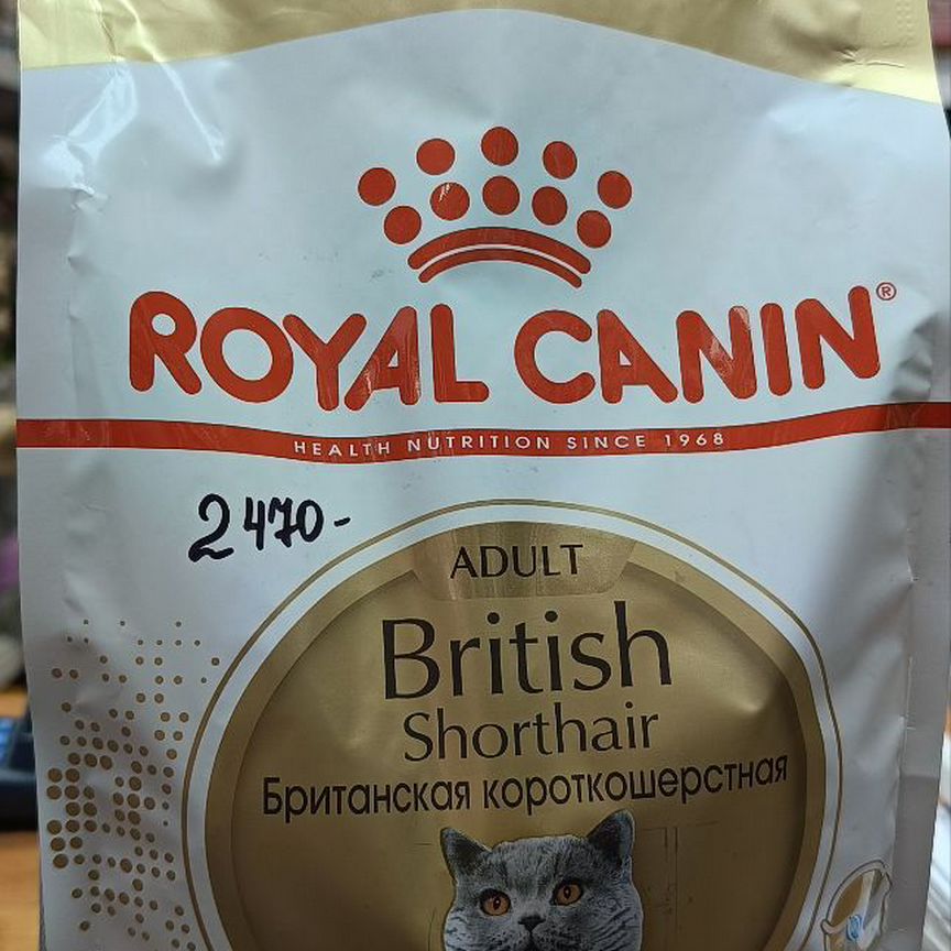 Royal canin