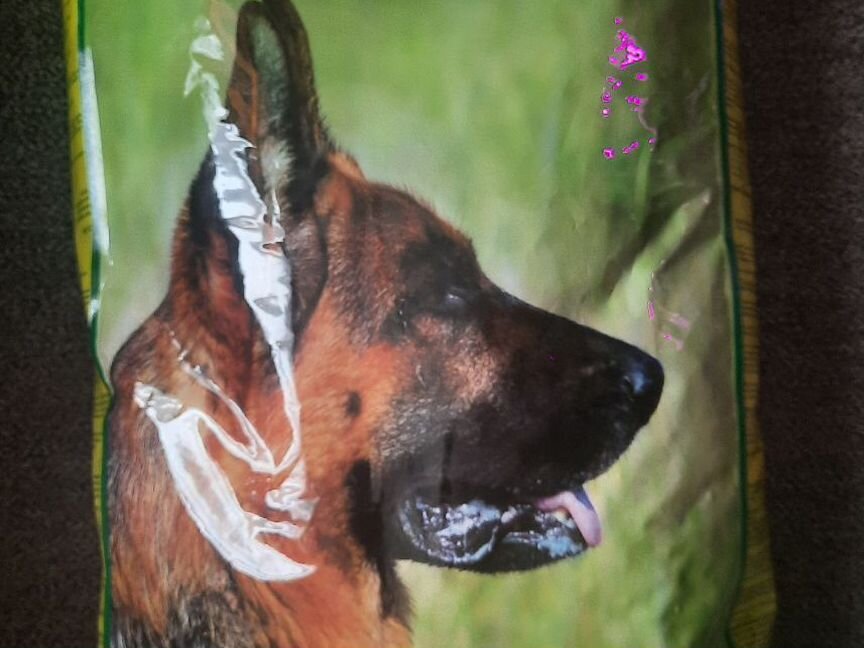 Сухой корм для собак