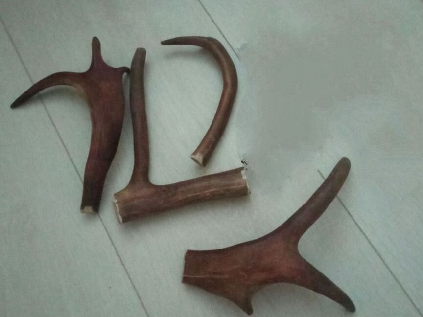 Рога оленя для собак 4 куска