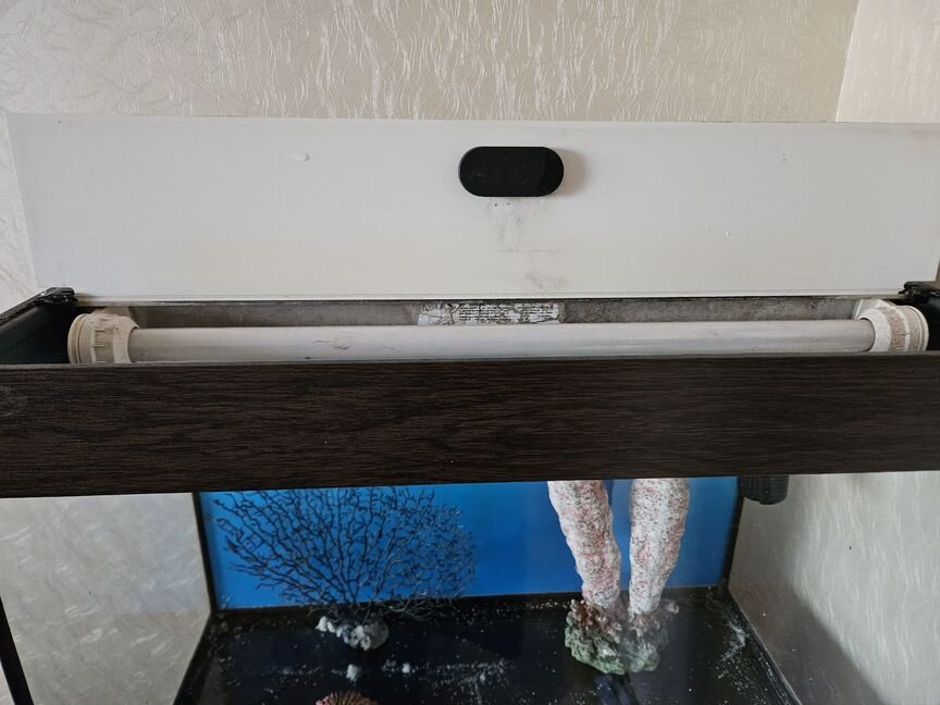 Аквариум риф 80