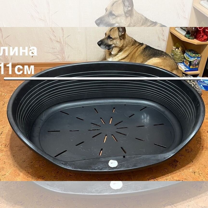 Корыто для собаки