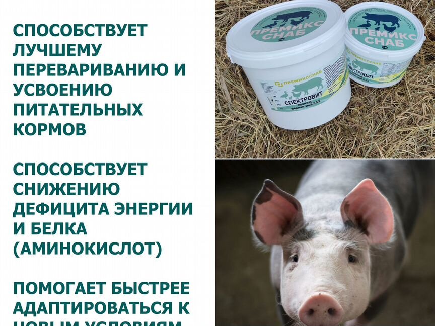 Ферменты для свиньи 25 кг