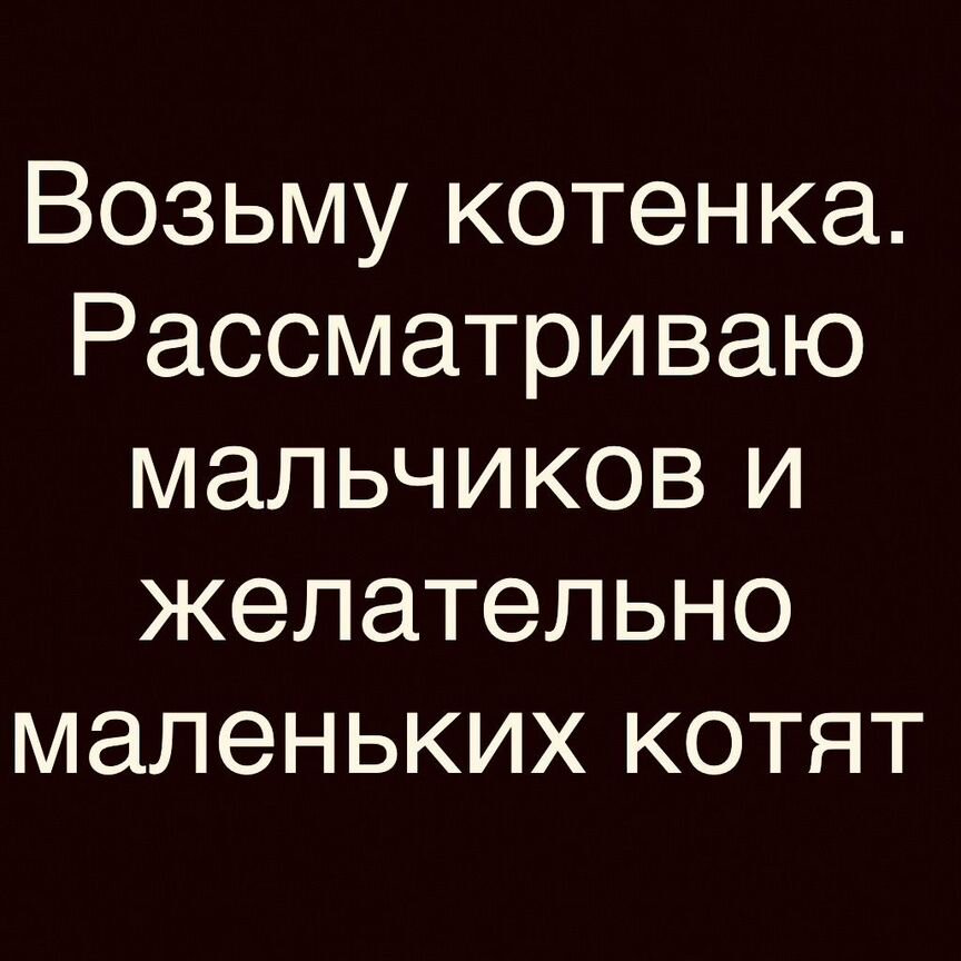 Котёнок в добрые руки