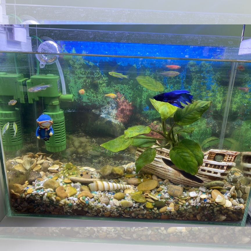 Аквариум 15 л