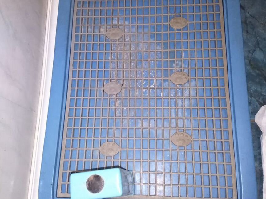 Лоток для собак. Лежанка. Шлейка кожанная, Поводок