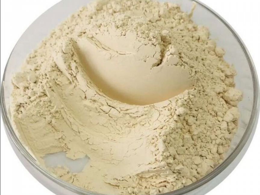 Мука личинки Черной львинки