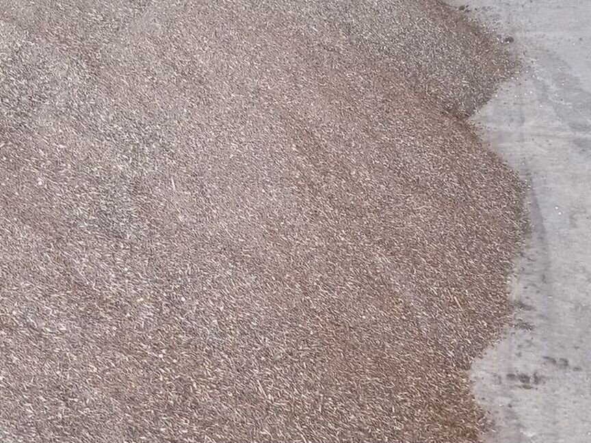 Товары для животных