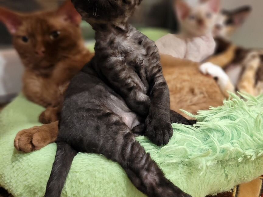 Мальчик и девочка для раннего бронирования