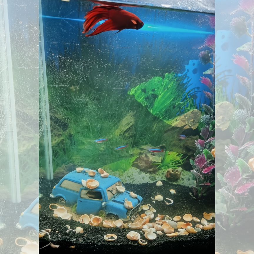 Аквариум 25л