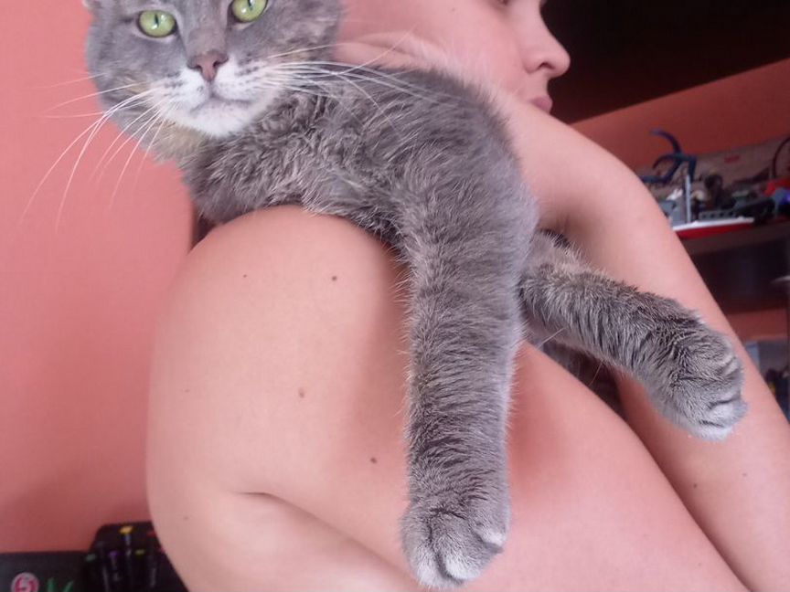 Кот нежнятинка Сурик
