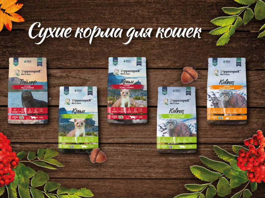 Корм супер премиум класса для кошек Территория