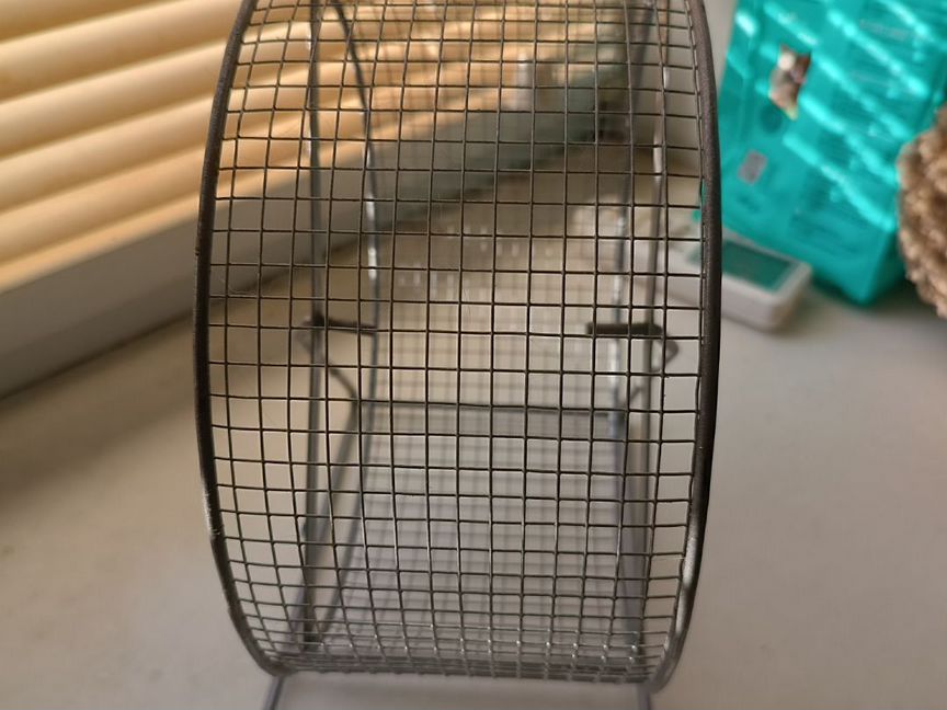 Колесо для шиншиллы