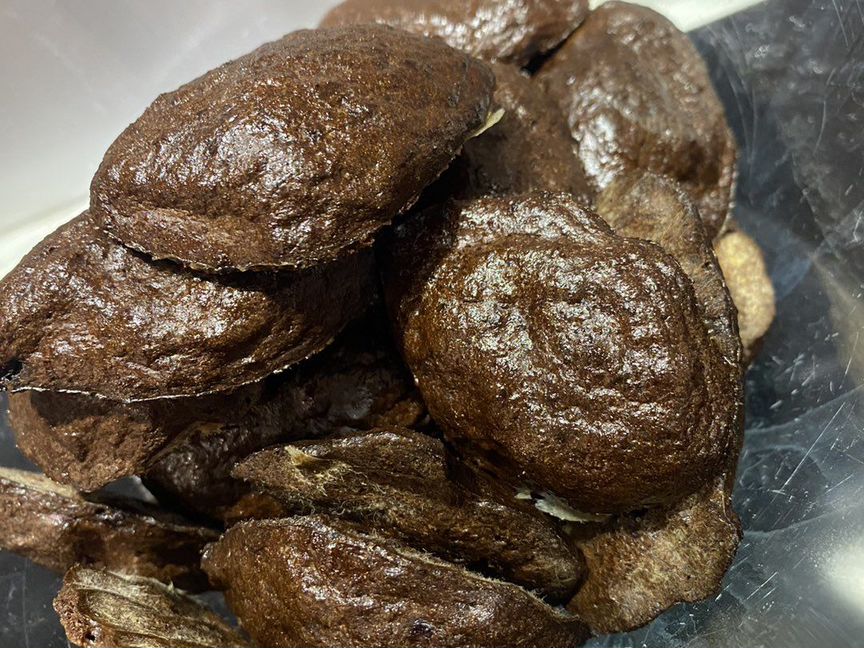 Печенья для собак