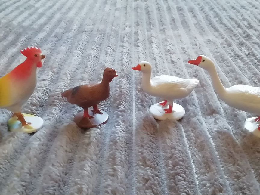 Домашние птицы игрушки