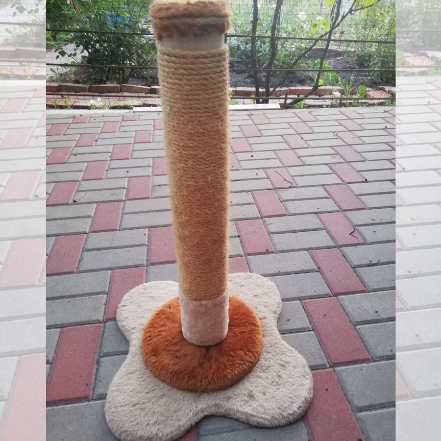Когтеточка для кошек