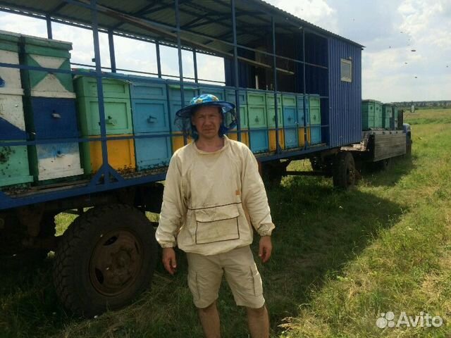 Мед белой акации и липовый купить в Москве | Товары для дома и дачи | Авито