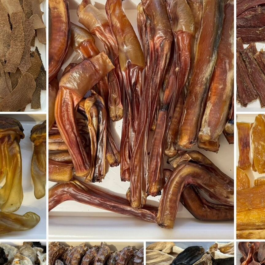Лакомства для собак