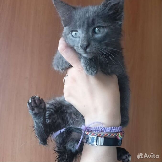 Мальчик 2,5 -3 мес