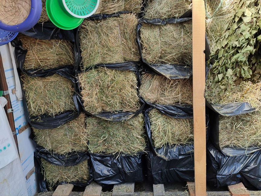 Сено в брикетах