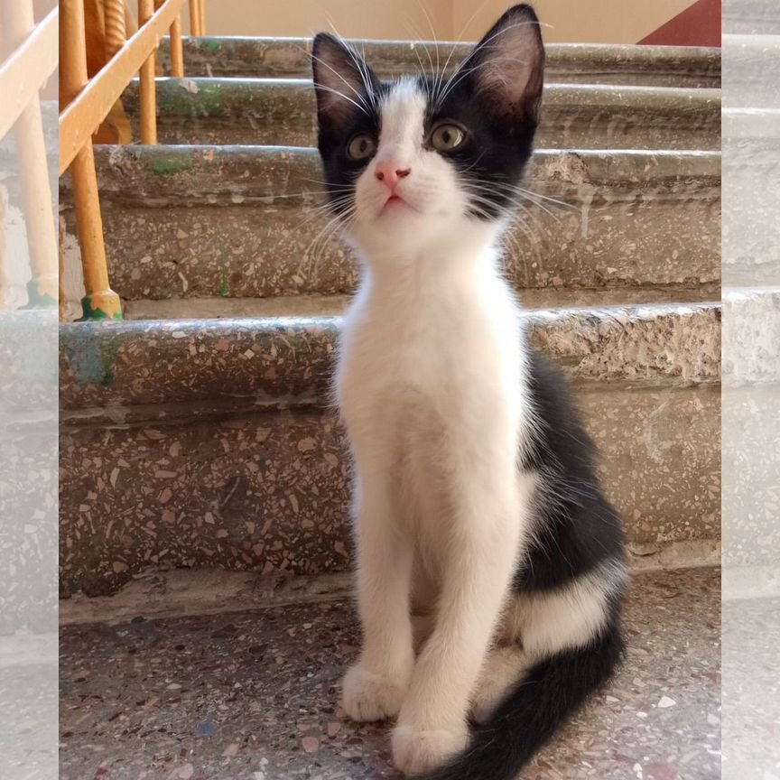 Пережила предательство