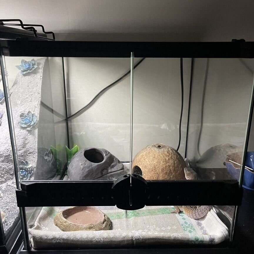 Террариум для рептилий с наполнением