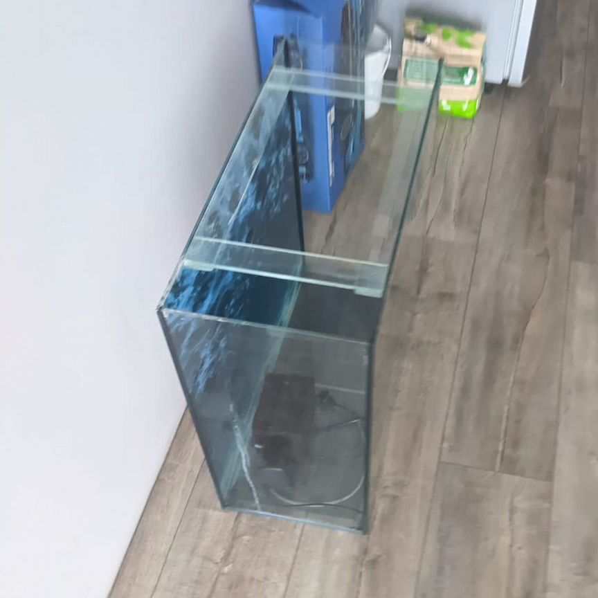 Аквариумные рыбки