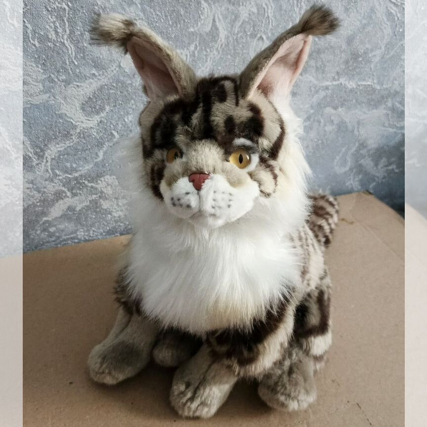 Котёнок мейн-кун