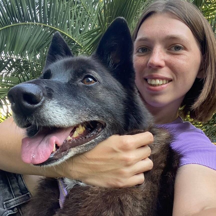 Ласковая собака Алиса