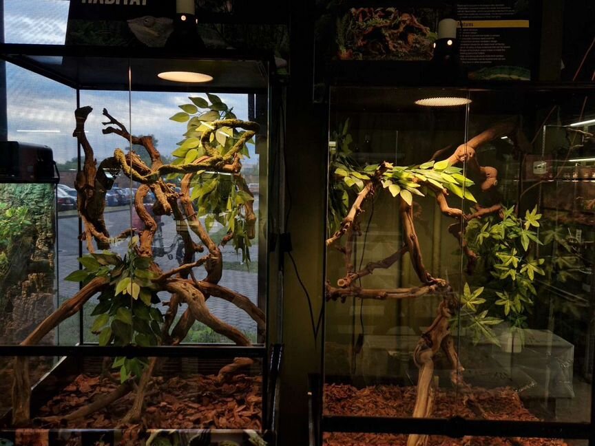 Террариумы для рептилий