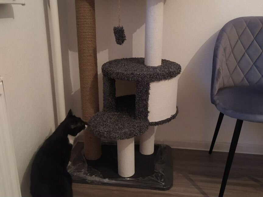 Кошачий комплекс-когтеточка