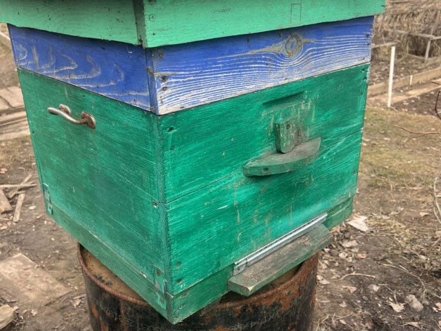 Улей для пчел